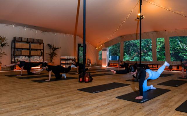 Yoga In Binfield | Canopy Yoga & Piataes Studio